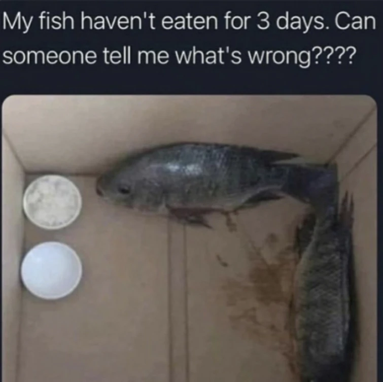 Now on Level 339 | Fandom