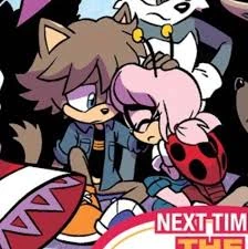 Look who cameoed in the Sonic IDW comics!! | Fandom