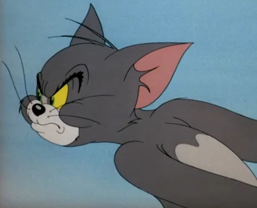 "Tomfoolery" Who Wins? | Fandom