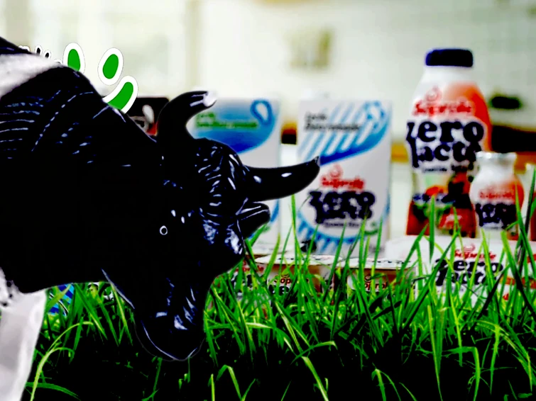 Soprole Zerolacto Guatita Feliz Grass Milk Cow | Fandom