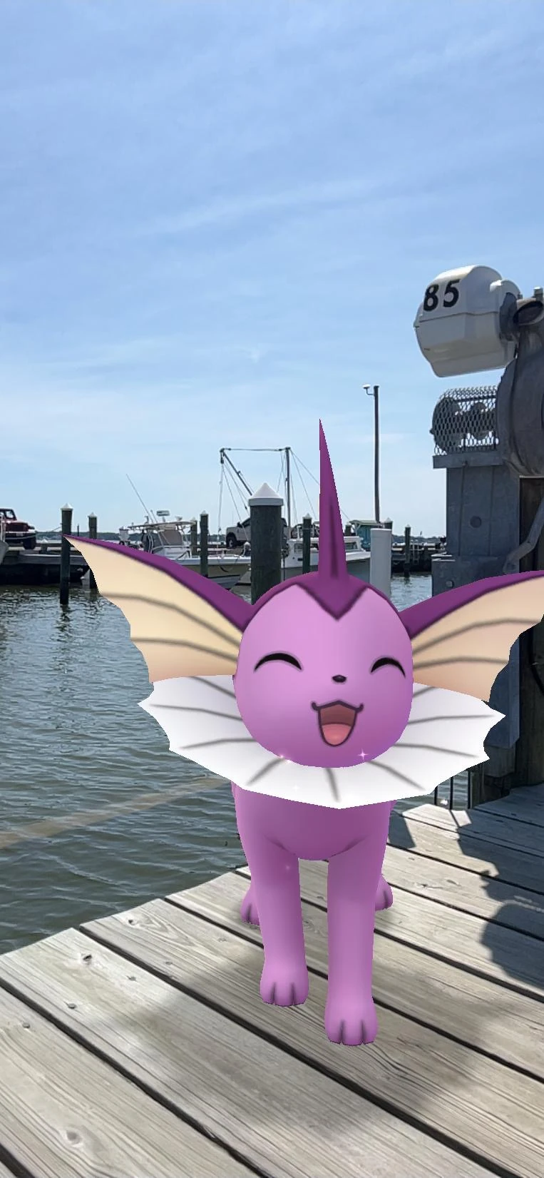 Hurricane is happy to be by the water again, hopefully she wont become ...