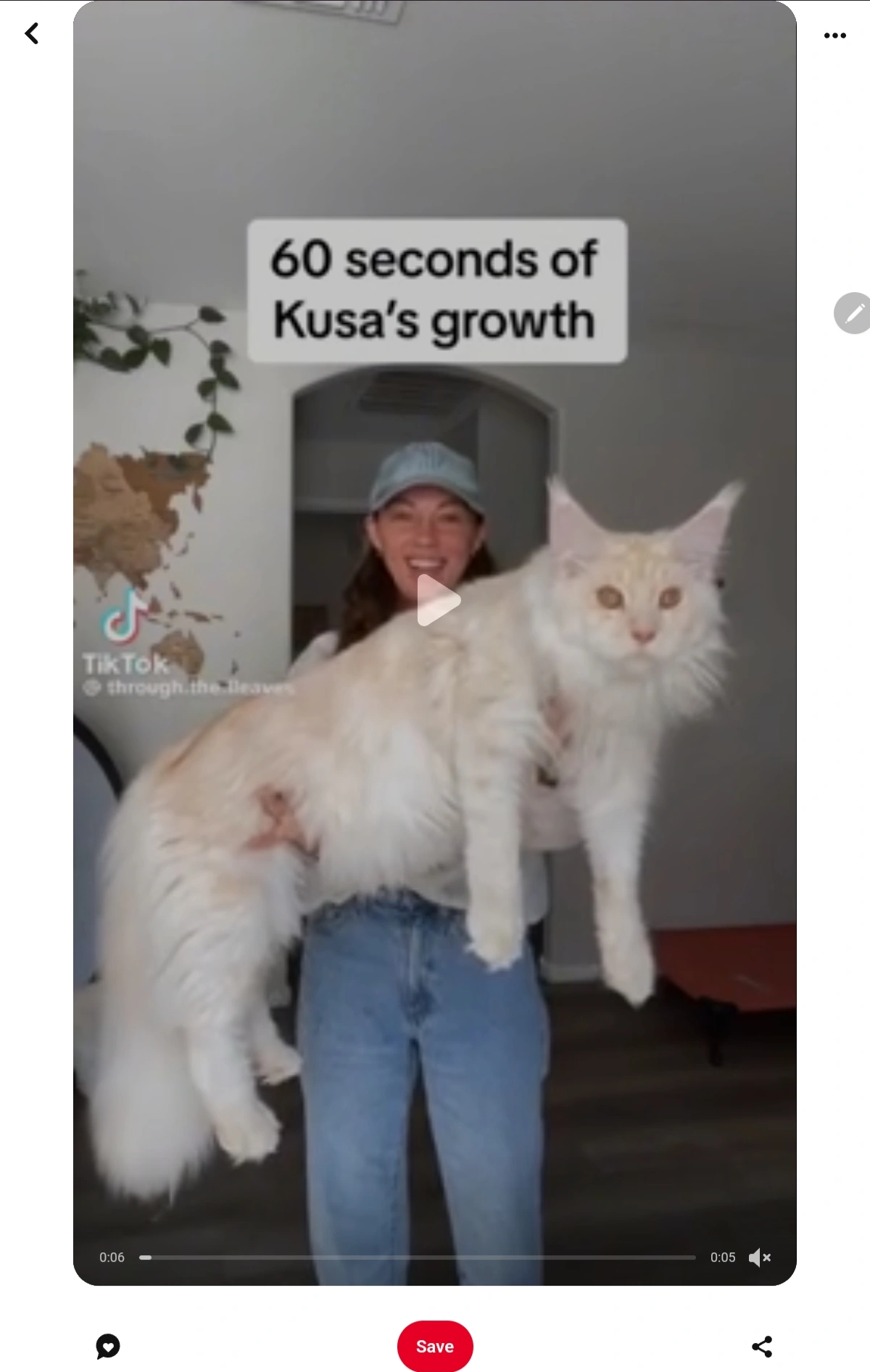Kusa's life story. [EMOTIONAL! WATCH TILL THE END] | Fandom