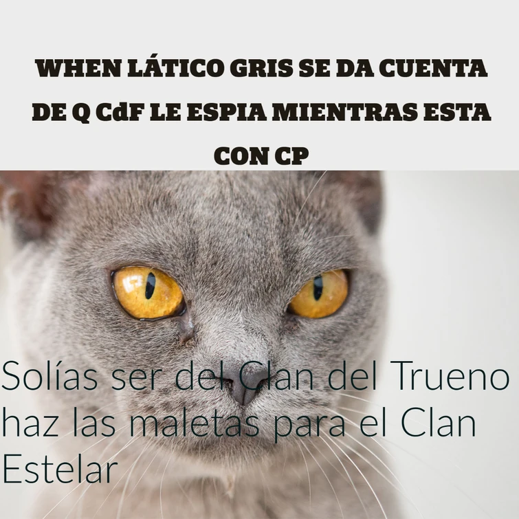 MEMES RANDOM | Fandom