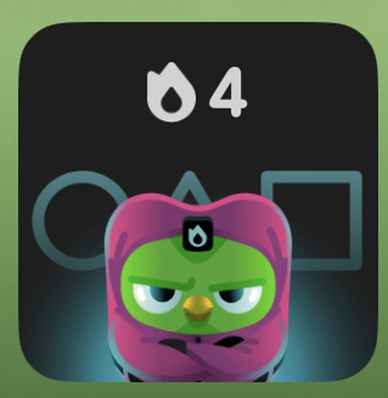Every Duolingo widget I have a screenshot of (so far) | Fandom