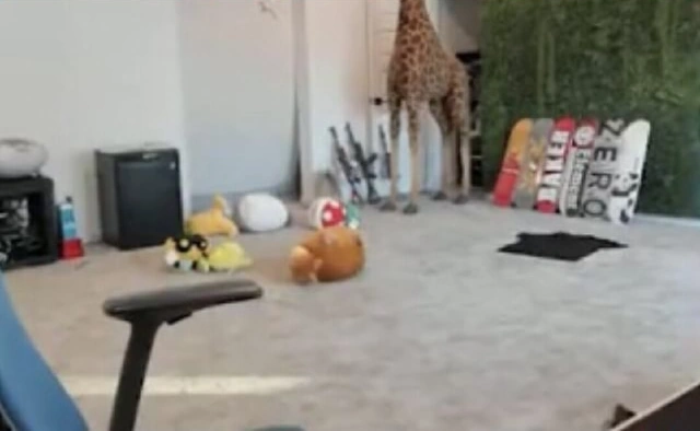 XQc | EFAP Podcast Wiki | Fandom