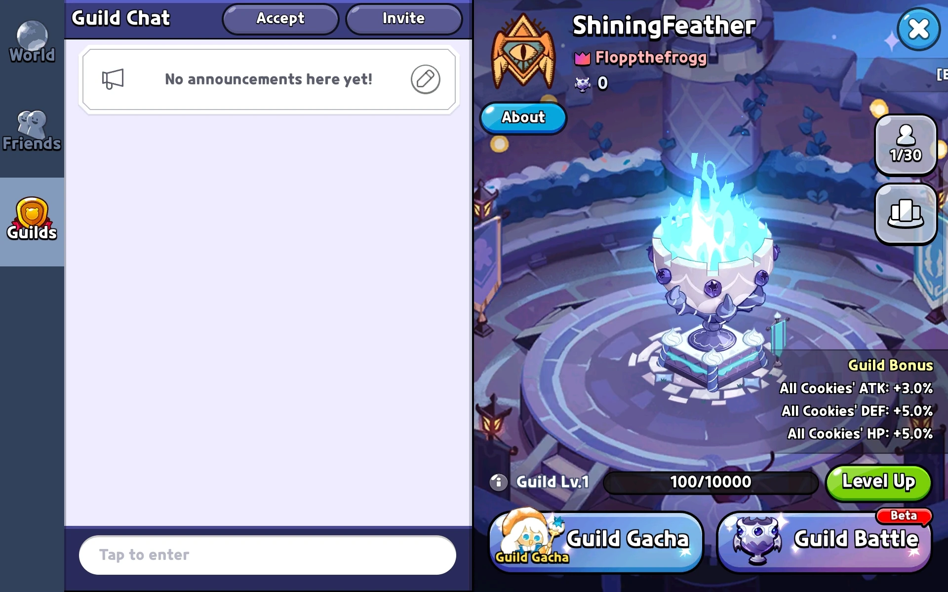 I made a guild .w. | Fandom