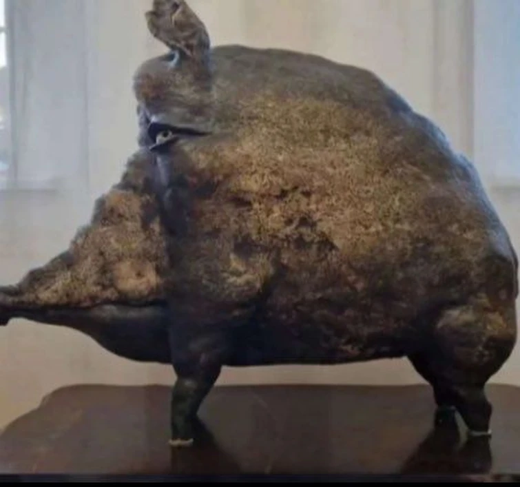 guys hear me out /srs | Fandom