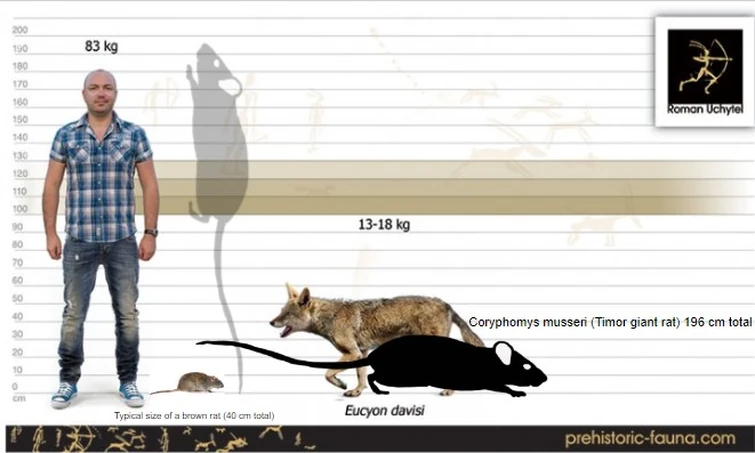 Coryphomys musseri was huge | Fandom