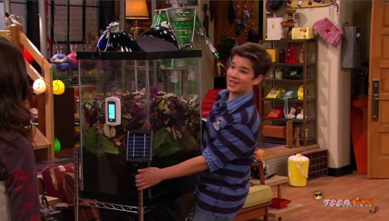 I have a lot of TeenNick programs on my DVR | Fandom
