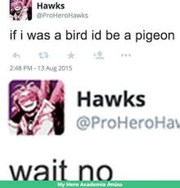 a couple of hawks memes bc why not | Fandom