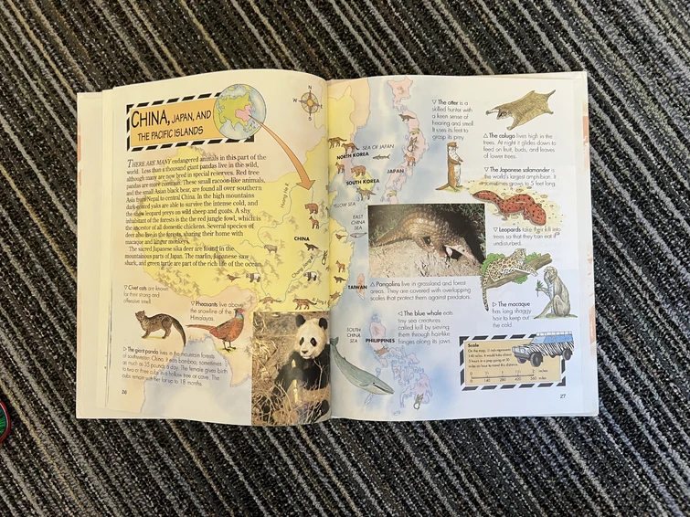 Discuss Everything About NatureRules1 Wiki | Fandom