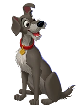 NPG Reproposal: Tramp (Disney) | Fandom