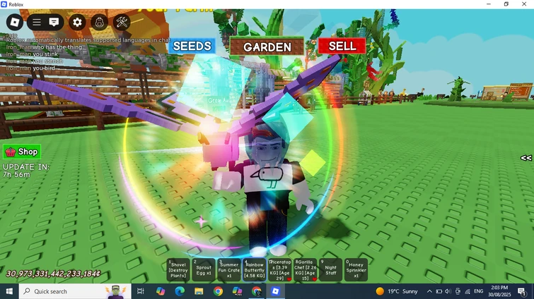 trading rainbow butterfly | Fandom