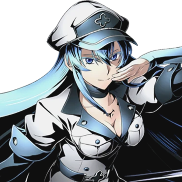 Do you agree with Gray vs Esdeath? | Fandom