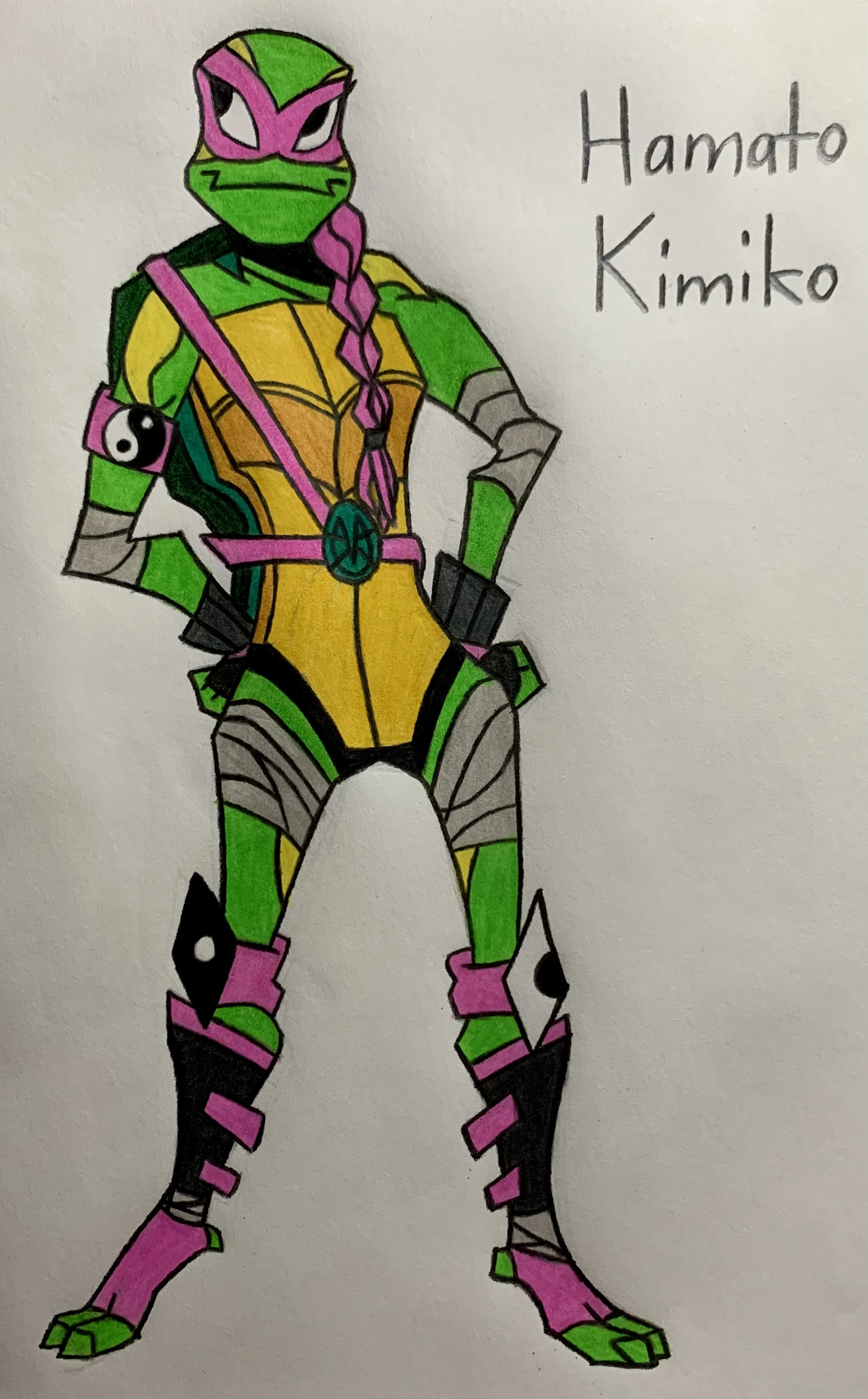 Rise of the TMNT OC | Fandom