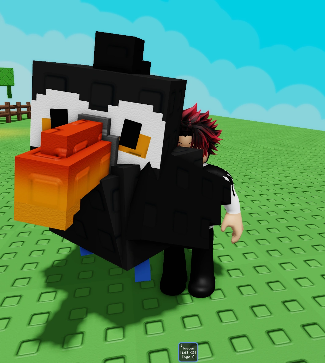 Toucan | Fandom