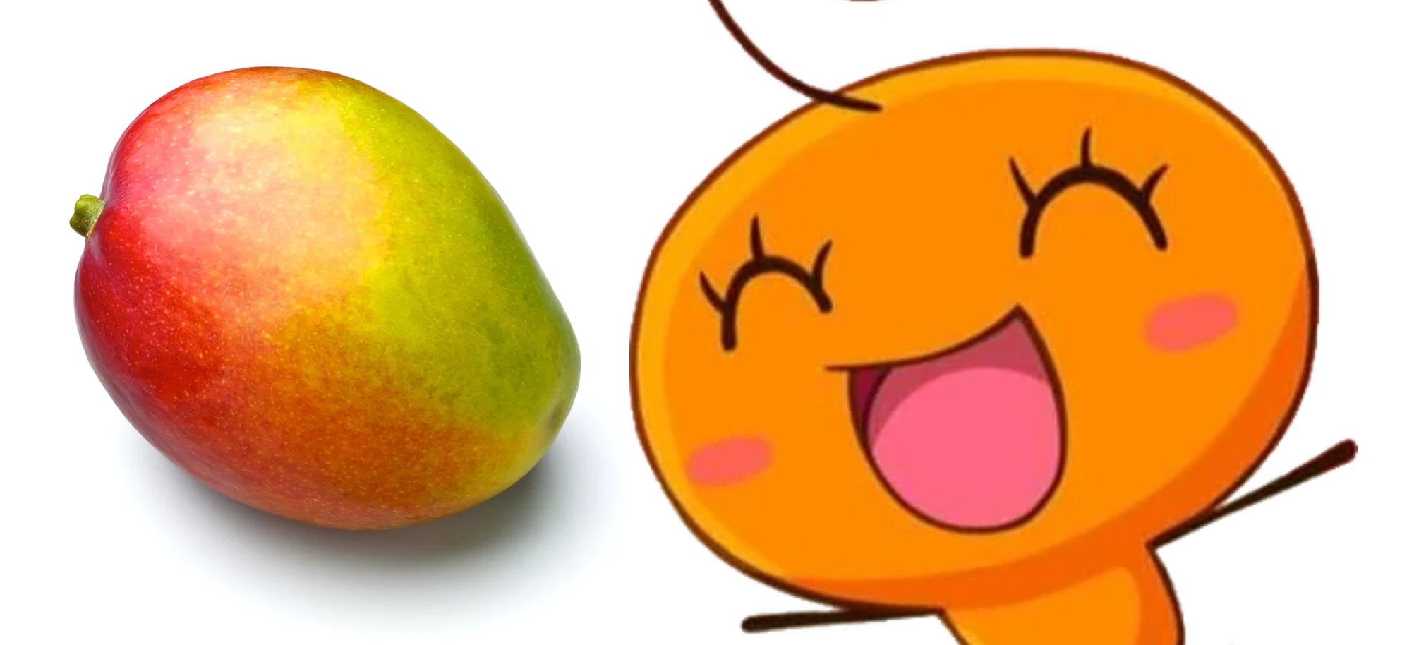 Get Mango'ed By Memetchi | Fandom