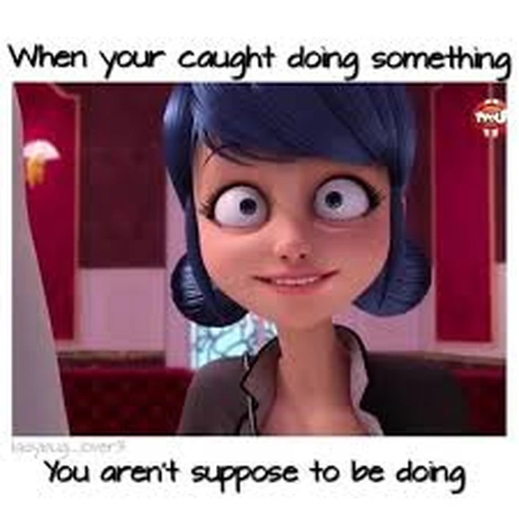 Marinette May Memes | Fandom