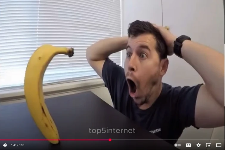 HELP!!!!! WTF IS THIS WIKI!?!?!?!??!?!?!?!?!?!? | Fandom