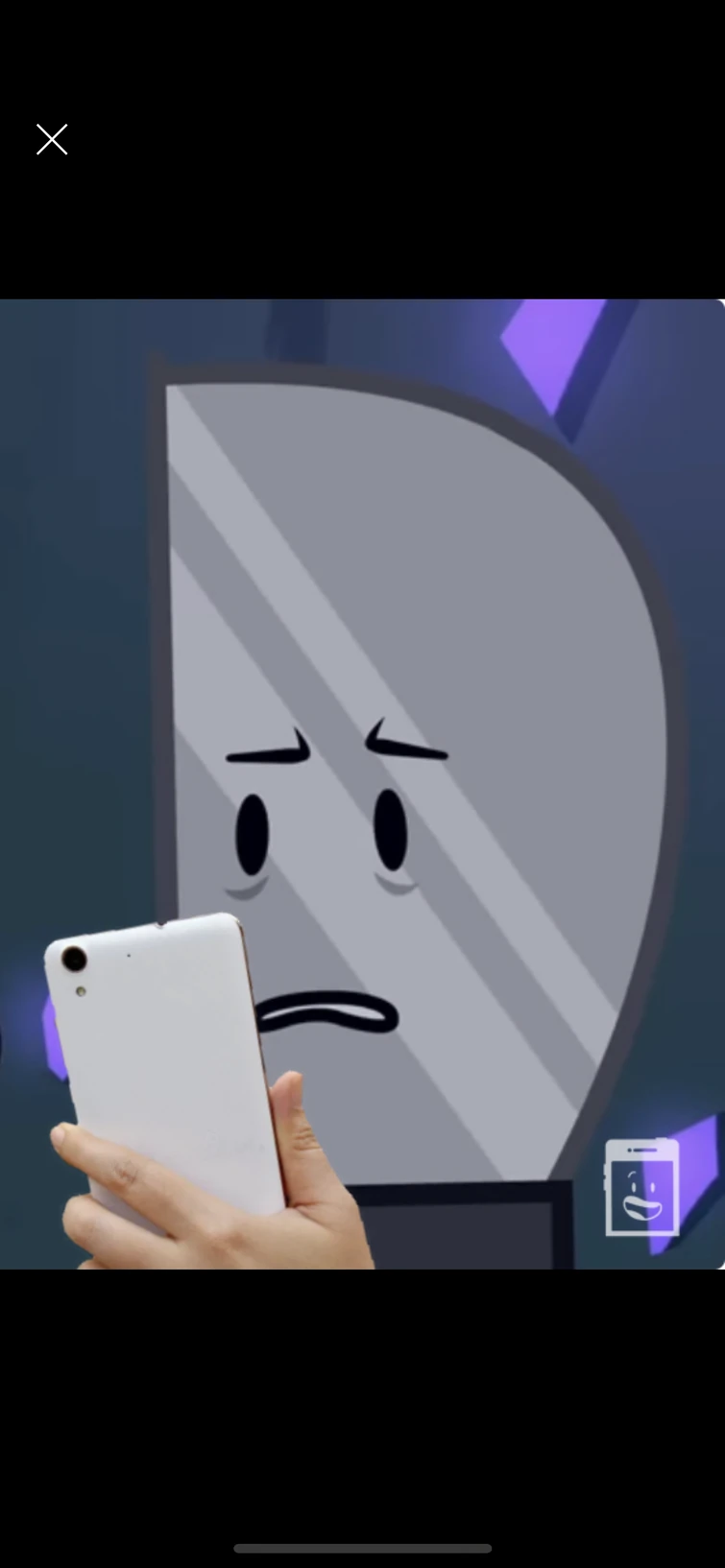 Some Random BFDI Meme #1 | Fandom