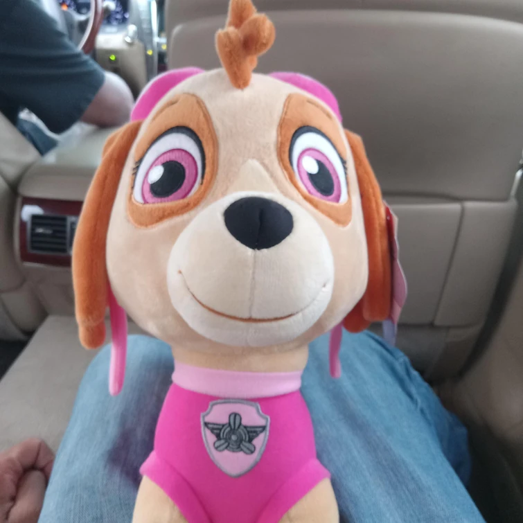 "Let's Take to The Sky!" | Fandom