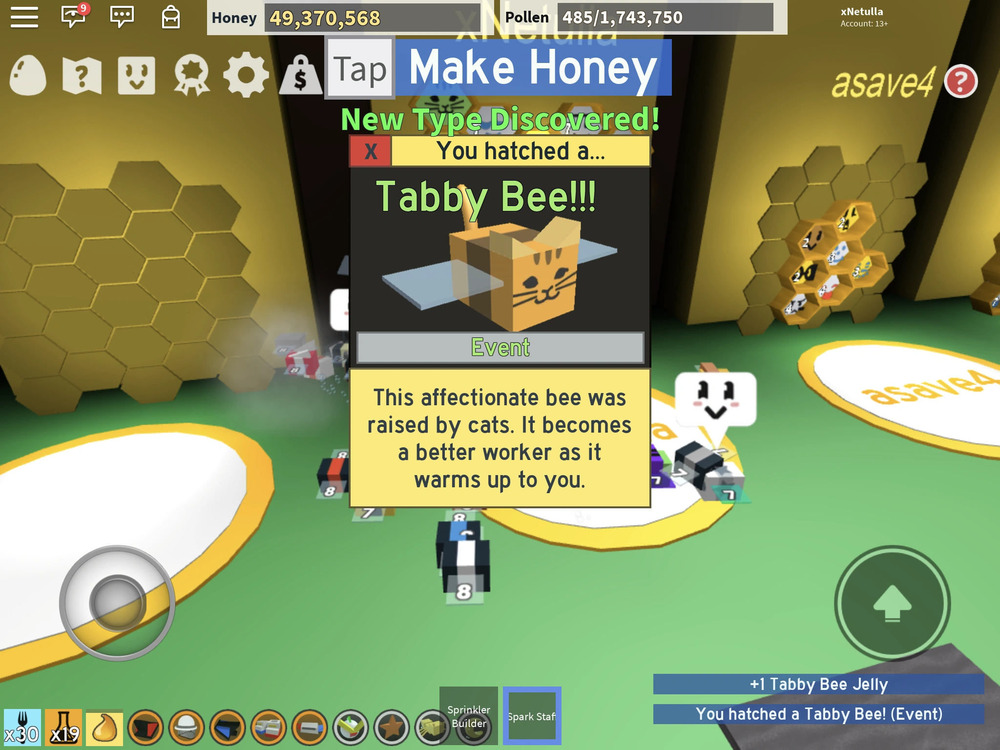 Purchased Tabby Bee :D | Fandom