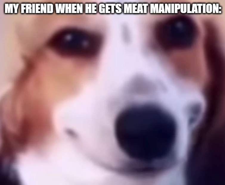 Sus friend meme i made | Fandom