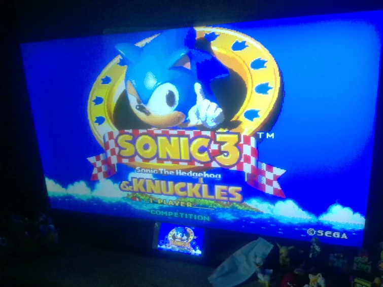 How many devices do you have Sonic 3 on? | Fandom
