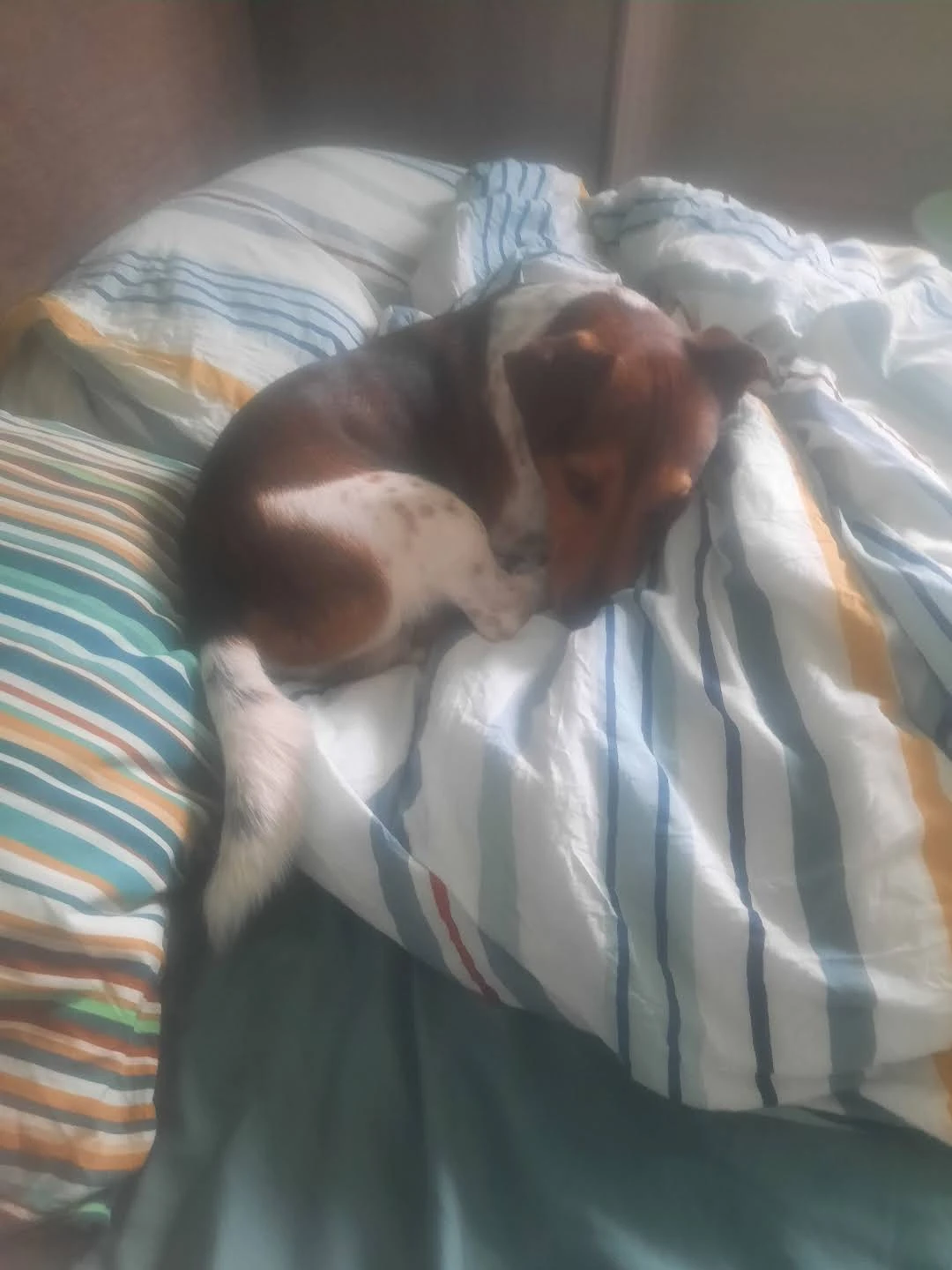 Great Citadel Of Imaginary Difficulties | Effortful's Difficulties Wiki ...