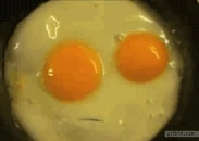 The Fantastic Game | Egglike Wiki | Fandom