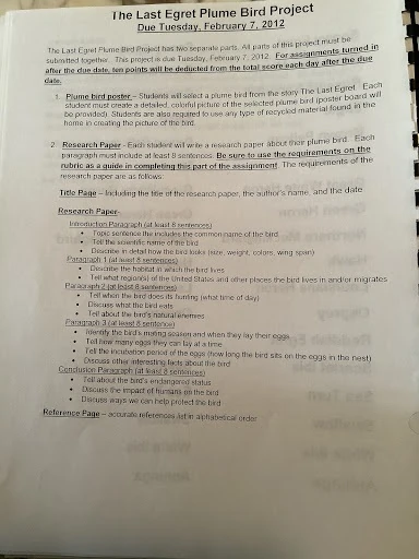 The Last Egret | Egret Lake Arts Integration Wiki | Fandom