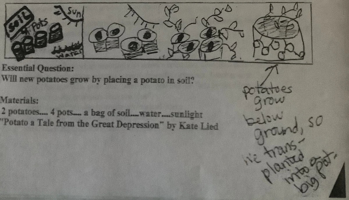 Potato: A Tale from the Great Depression | Egret Lake Arts Integration ...