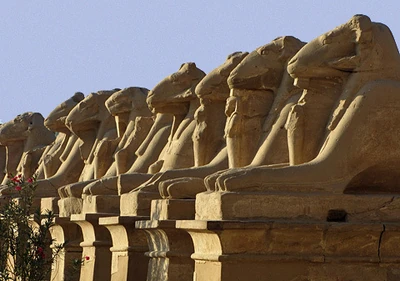 Criosphinx | Ancient Egypt Wiki | Fandom