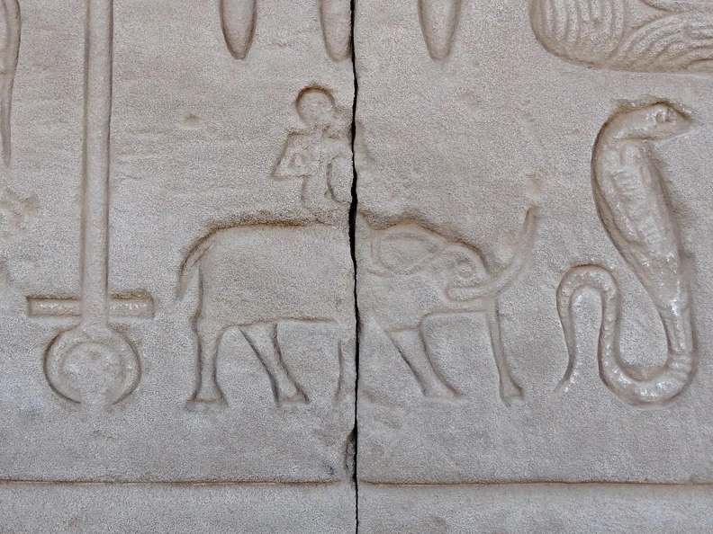 Elephant | Ancient Egypt Wiki | Fandom