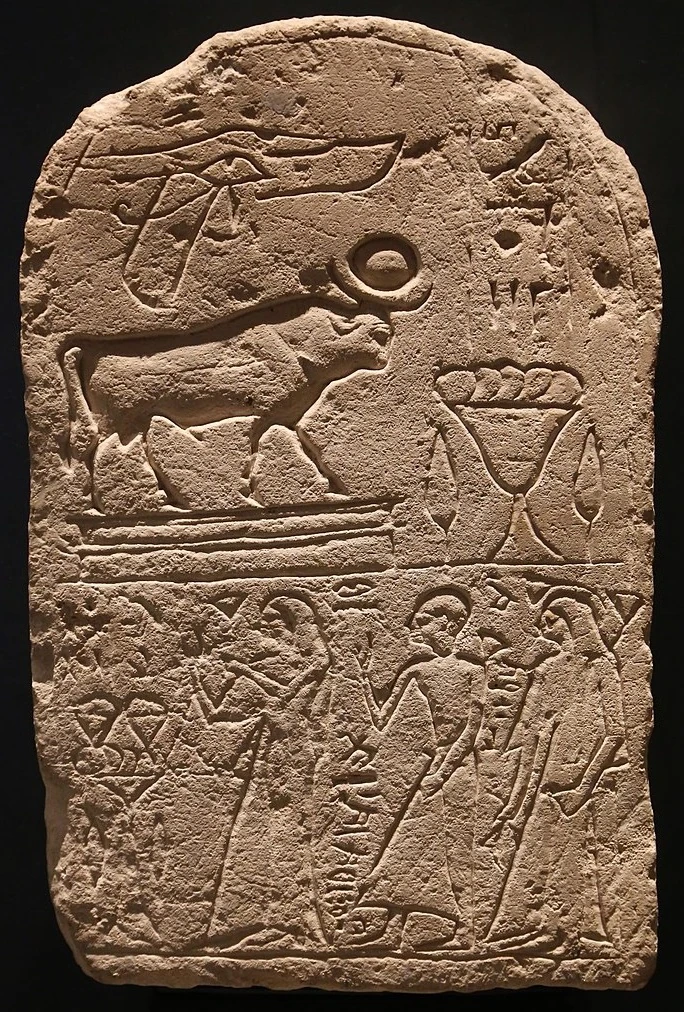 Mnevis | Ancient Egypt Wiki | Fandom