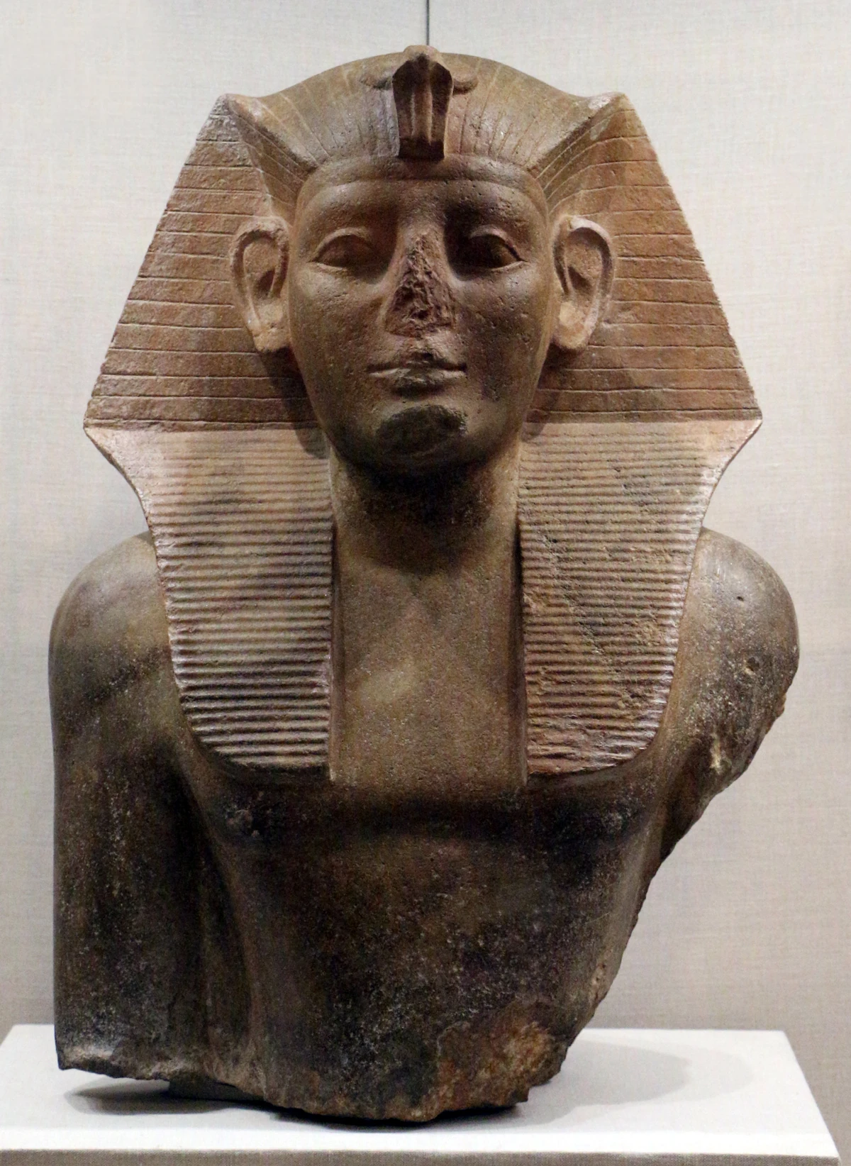 Neferhotep I | Ancient Egypt Wiki | Fandom
