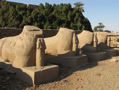 Criosphinx | Ancient Egypt Wiki | Fandom