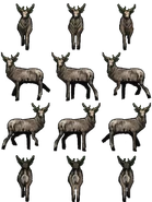 Deer - Sprite Gallery | 8:11 Wiki | Fandom