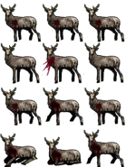 Deer - Sprite Gallery | 8:11 Wiki | Fandom