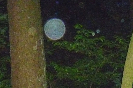 Orb | Wiki El Bestiario | Fandom