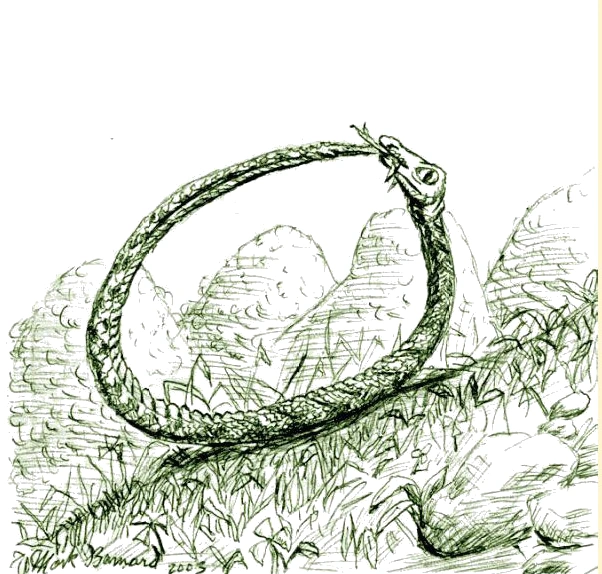 Hoop Snake | Wiki El Bestiario | Fandom
