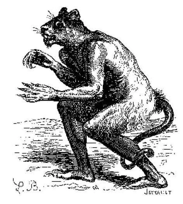 Flauros | Wiki El Bestiario | Fandom