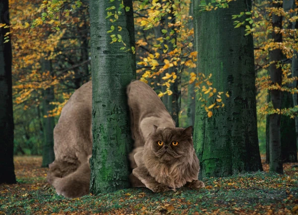 Gulon | Wiki El Bestiario | Fandom