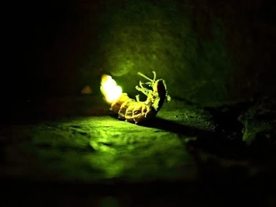 Los Isondú | Wiki El Bestiario | Fandom