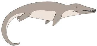 Gambo | Wiki El Bestiario | Fandom