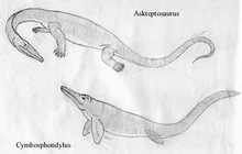 Gambo | Wiki El Bestiario | Fandom