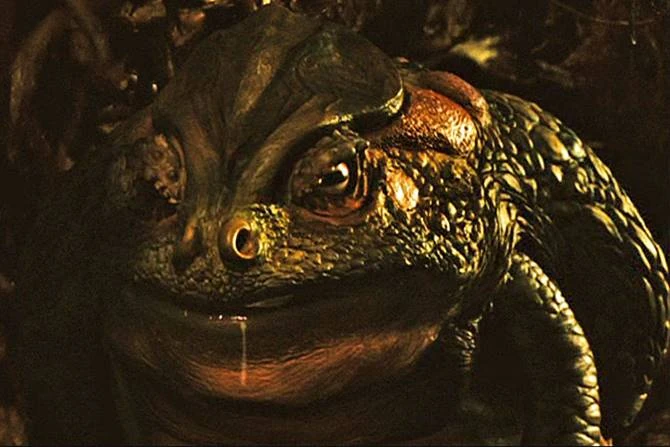 Giant Toad | El laberinto del fauno Wiki | Fandom