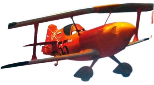 Van Der Bird | Wikia El Mundo de Cars | Fandom