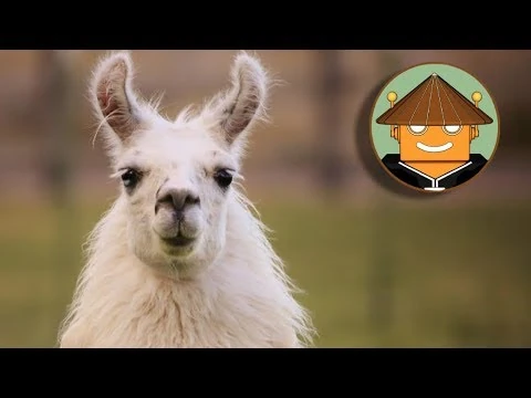 Llama | Wiki El Robot de Colón | Fandom