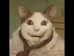 Kush Cat | Wiki El vacío | Fandom